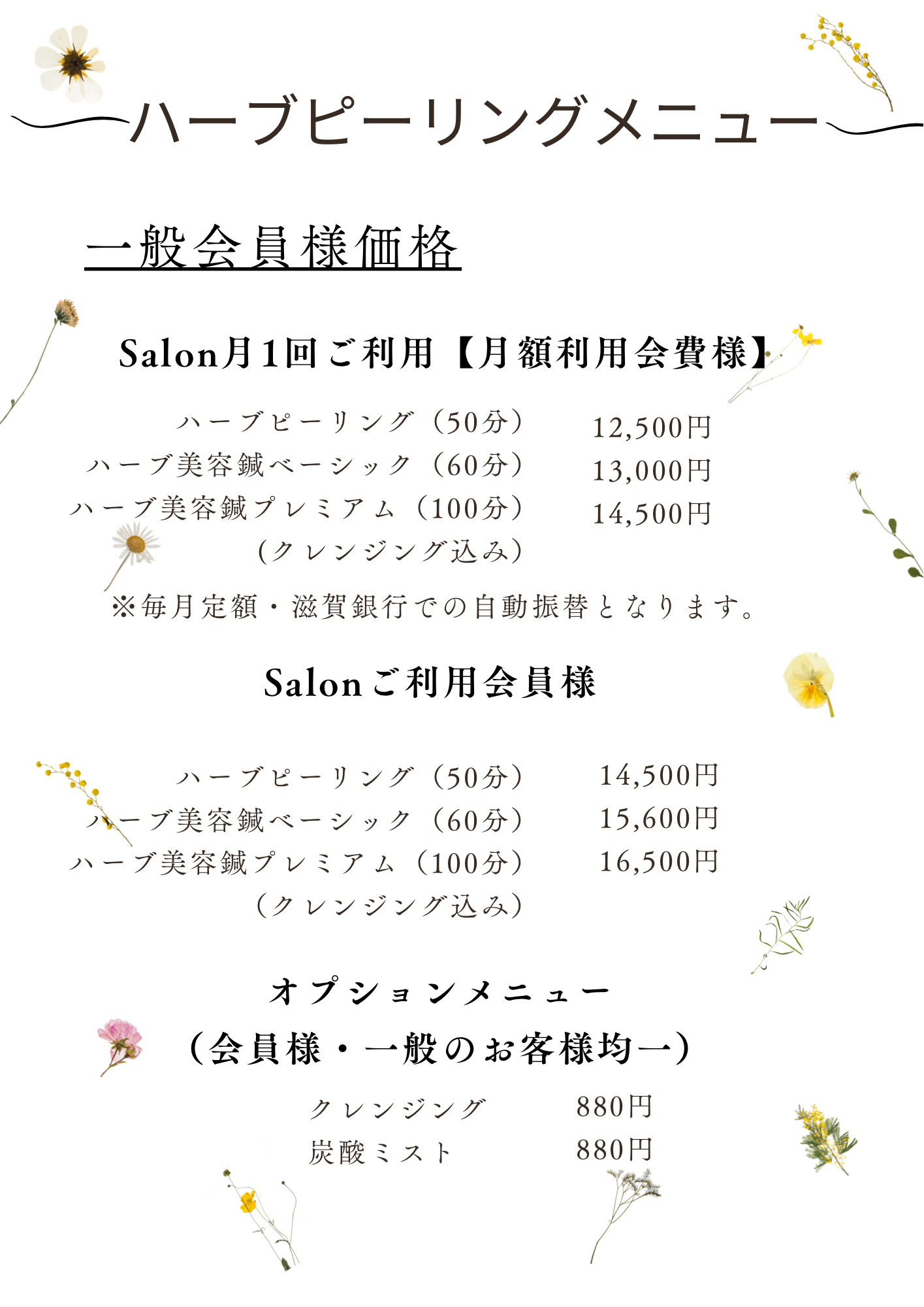 リフォーマー・マシーンピラティス・美容鍼Total Body Salon Shuunya店舗情報 | 滋賀 草津・南草津のヨガ スタジオ Shuunya